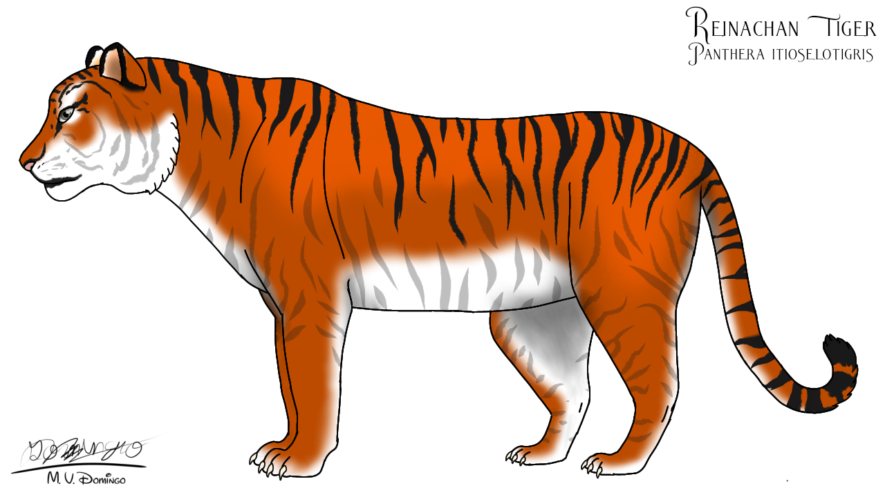 Reinachan Tiger - ibisPaint
