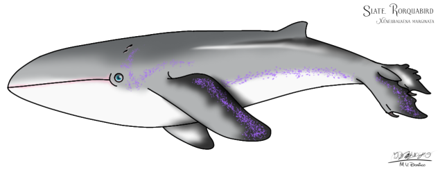 Slate Rorquabird (2023) - ibisPaint