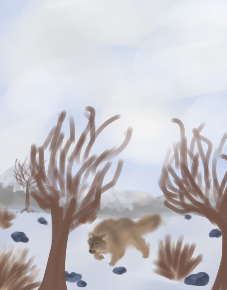 Winter🐺 - ibisPaint