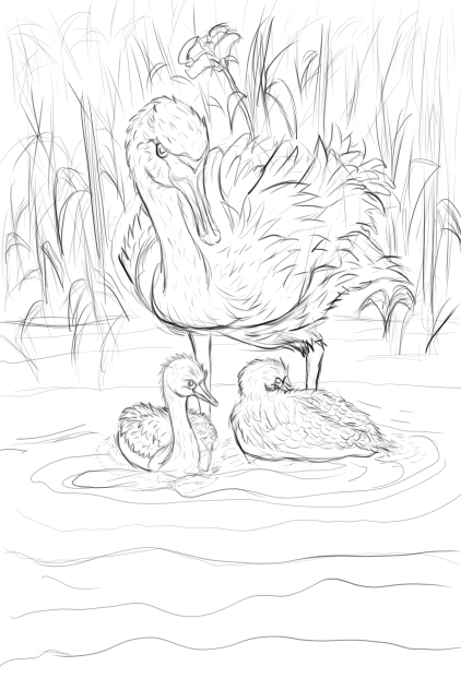 Support... - ibisPaint