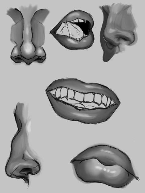 Nose & Mouth Study - ibisPaint