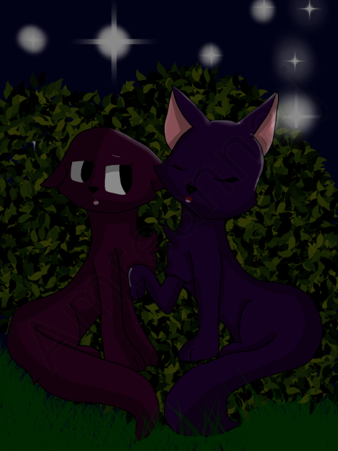 Cats (redraw) - ibisPaint