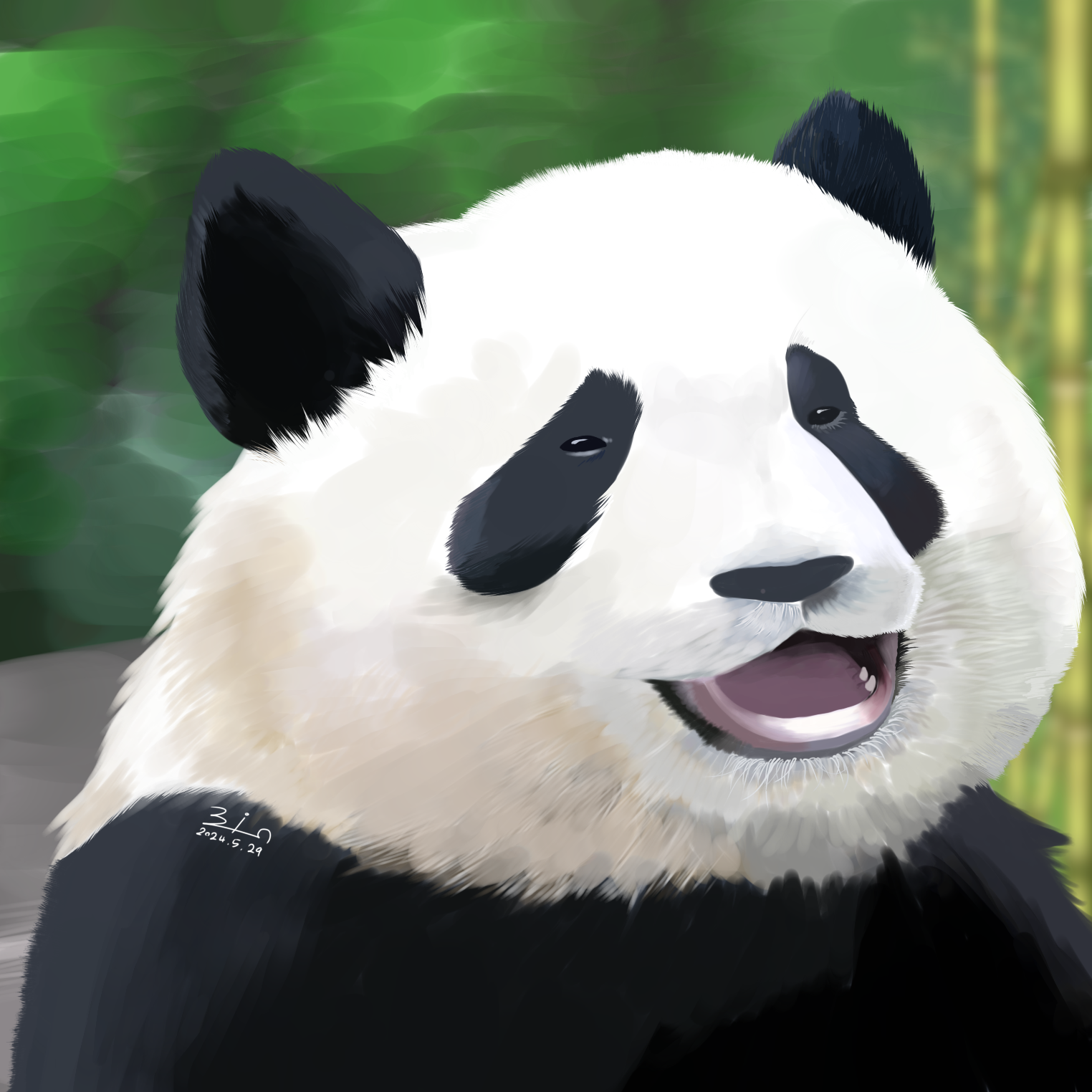 Panda🐼 - ibisPaint