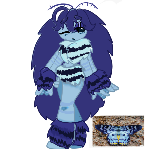 blue moth - ibisPaint