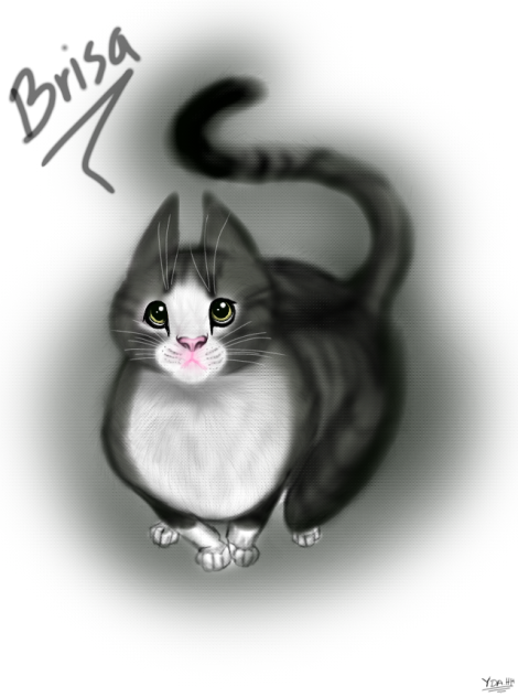 Speedpaint Gato - ibisPaint