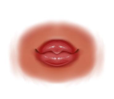 Rendered lips - ibisPaint