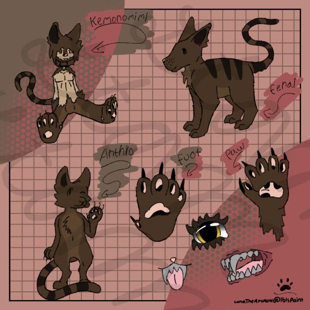 Kero hyper-fixations (Brown Tabby) - ibisPaint