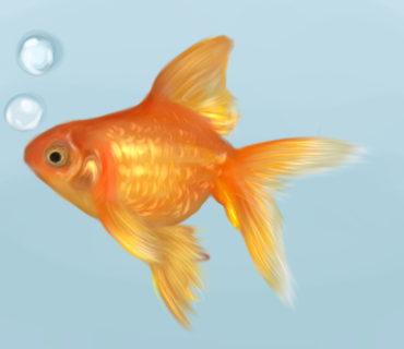 Uhh goldfish - ibisPaint