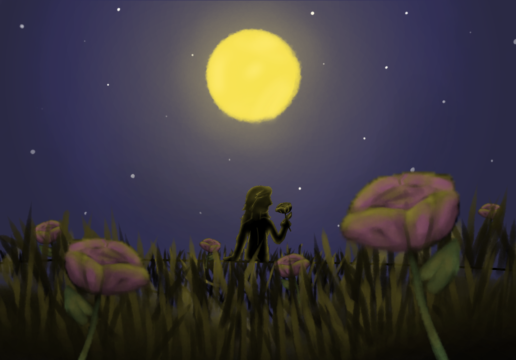 nighttime - ibisPaint