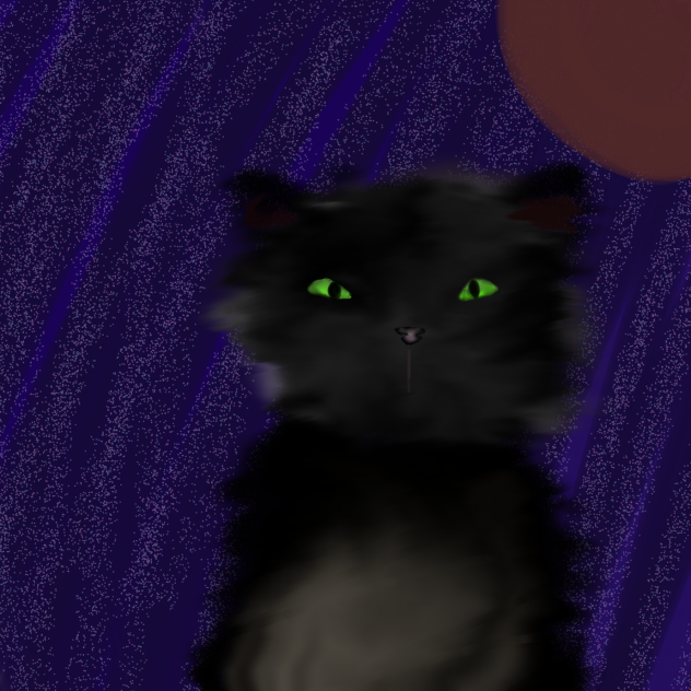 Black cat - ibisPaint