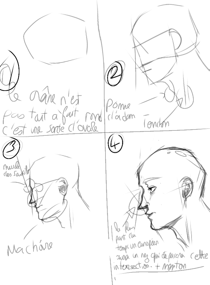 how to draw occidental men side face - ibisPaint