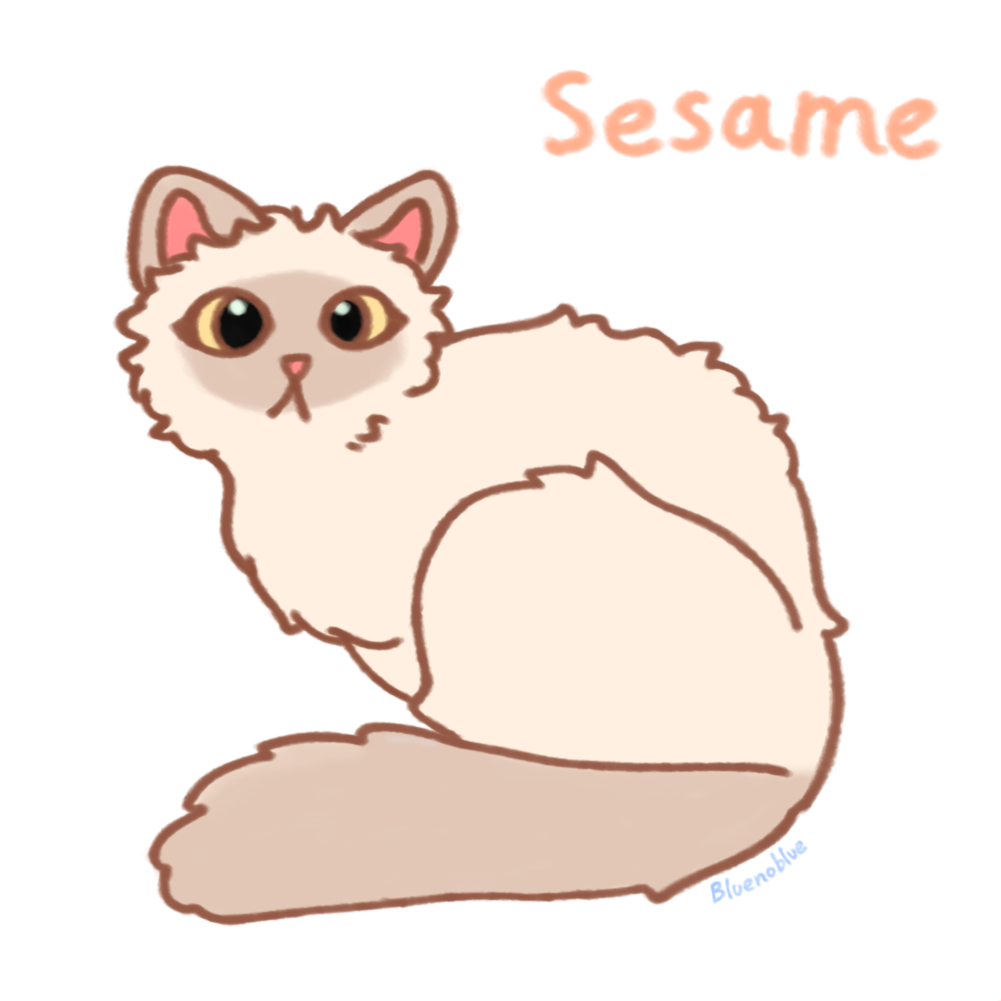 Sesame cat - ibisPaint