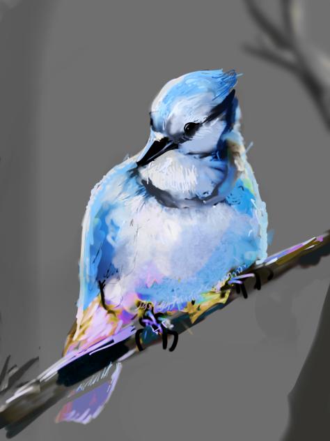 art of bird - ibisPaint