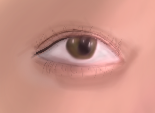 Realism First Attempt - ibisPaint