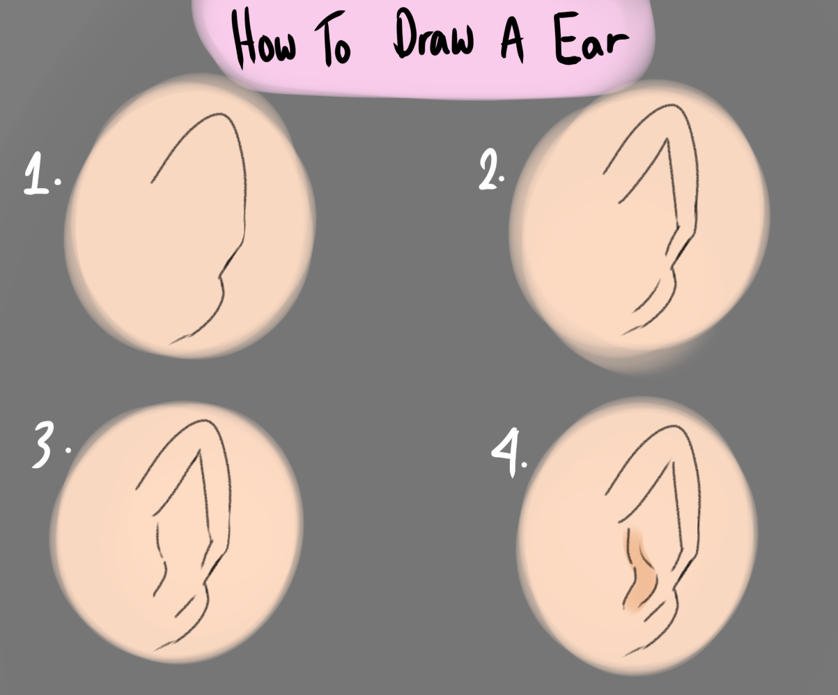 How I Draw Ears - ibisPaint