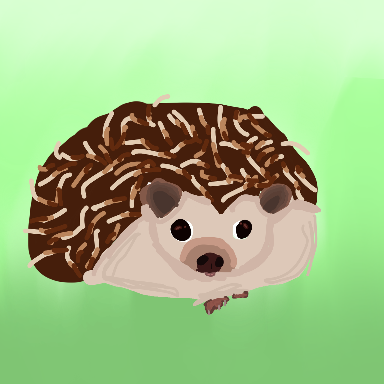 hedgehog 🦔 - ibisPaint