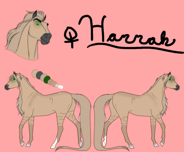 Hannah Meadows - Reference - ibisPaint