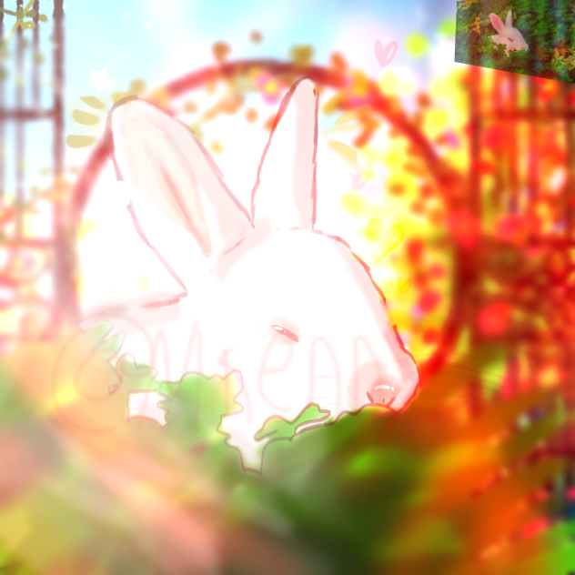 Bunny ️‍🩹 - ibisPaint