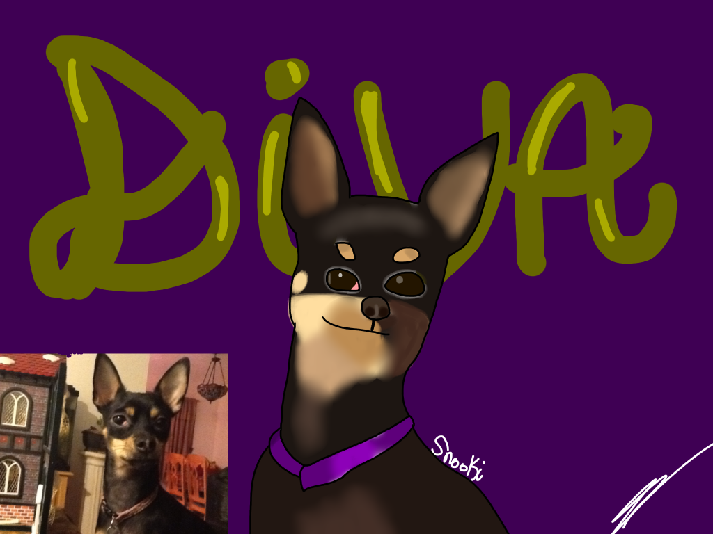 Snooki, My Dog - ibisPaint