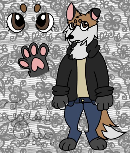 Fursona Ref Sheet - ibisPaint