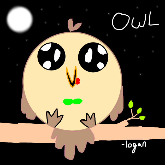 Baby owl - ibisPaint
