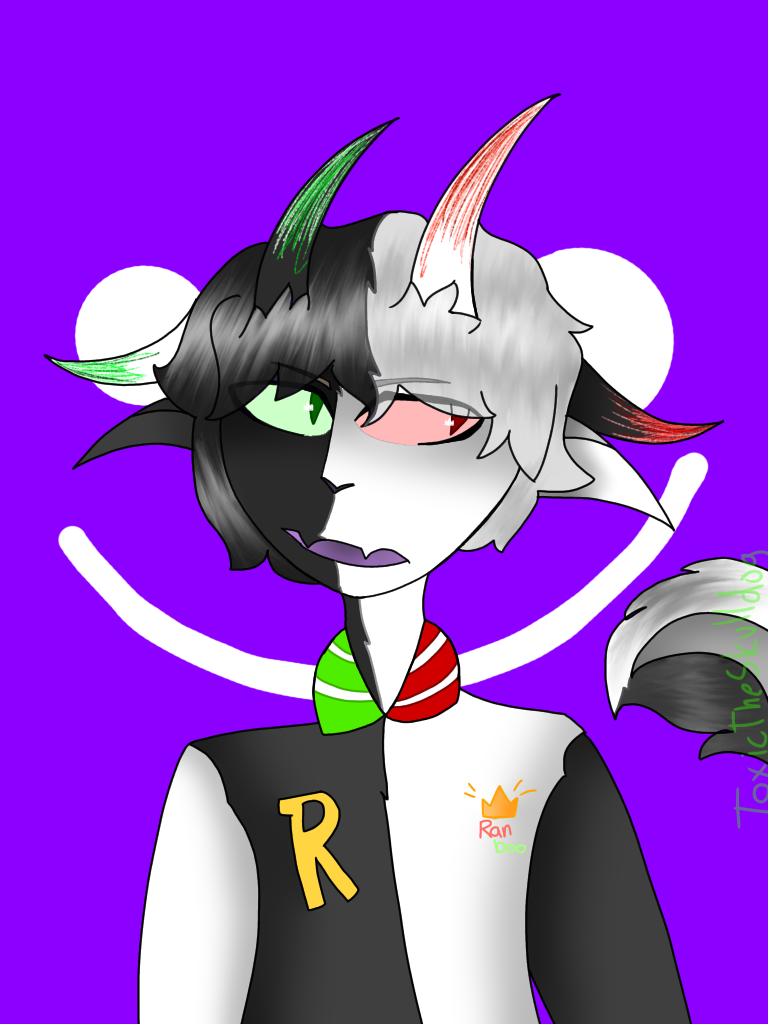Ranboo Redraw! - ibisPaint