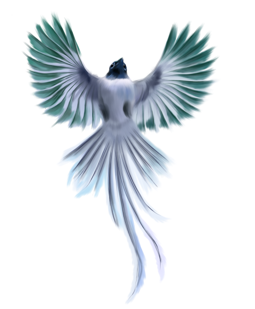 mountain bird 2 - ibisPaint