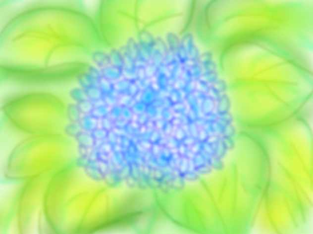 Hydrangea - ibisPaint