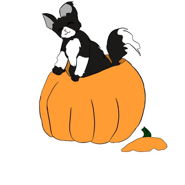 oc request - ibisPaint