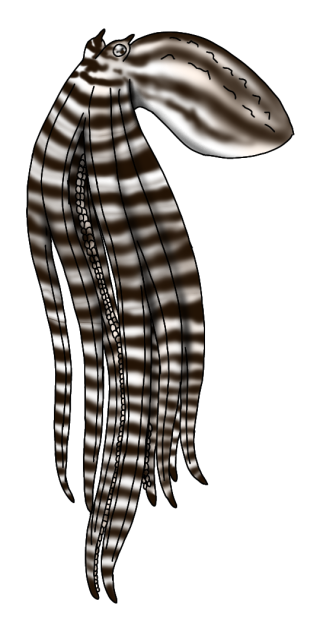 Mimic Octopus render - ibisPaint
