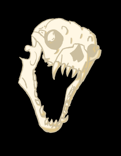 canine skull - ibisPaint