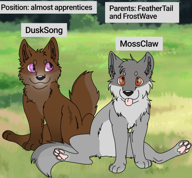 FeatherTail and FrostWaves Cubs - ibisPaint