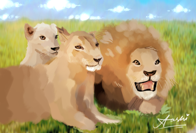 Animals - ibisPaint