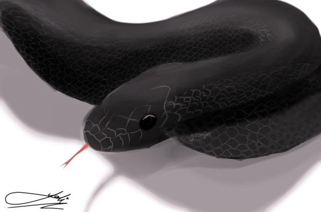 Black mamba - ibisPaint
