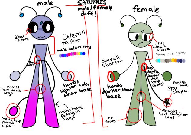 Male, female ref - ibisPaint