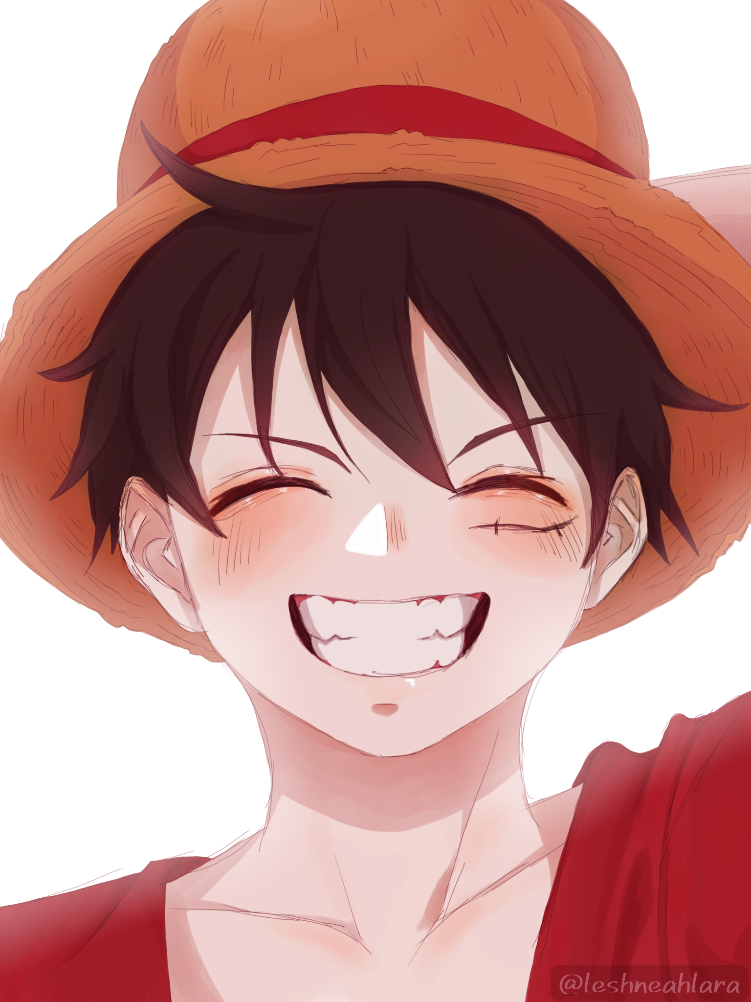 Luffy - ibisPaint