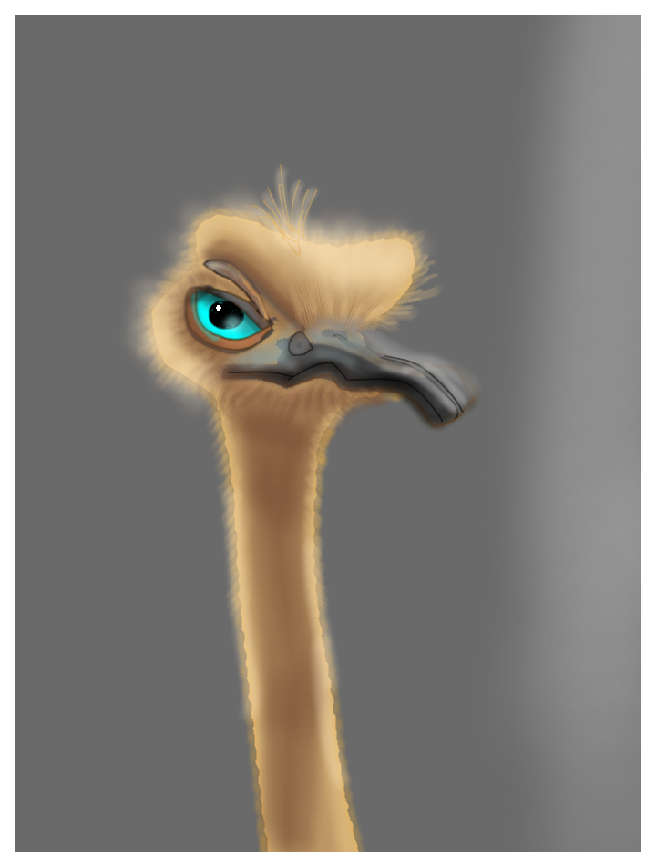 Angry Ostrich - ibisPaint