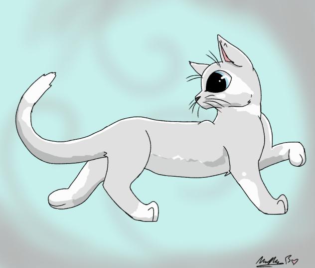 Cat Practice - ibisPaint