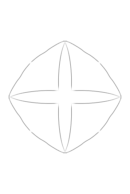 sand dollar 2 - ibisPaint