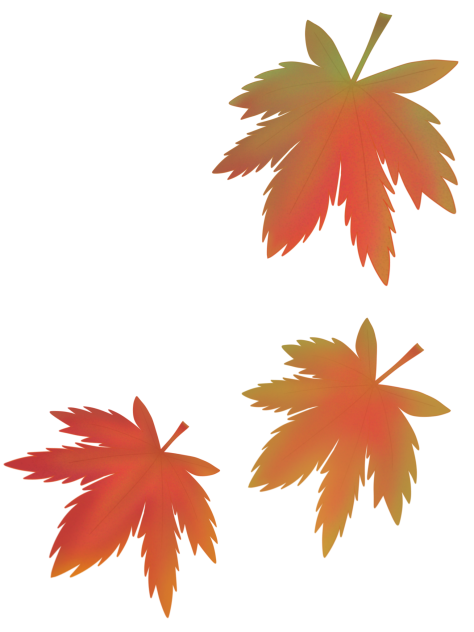 project 1 - ibisPaint