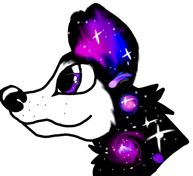 Galaxy Wolf - ibisPaint