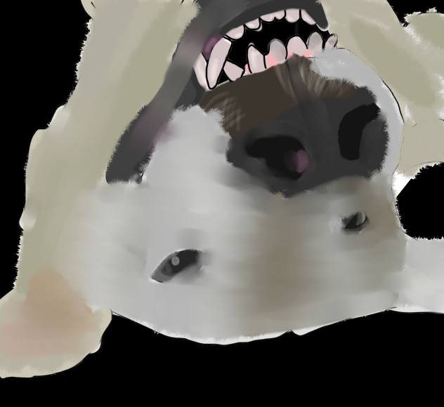 my dog - ibisPaint