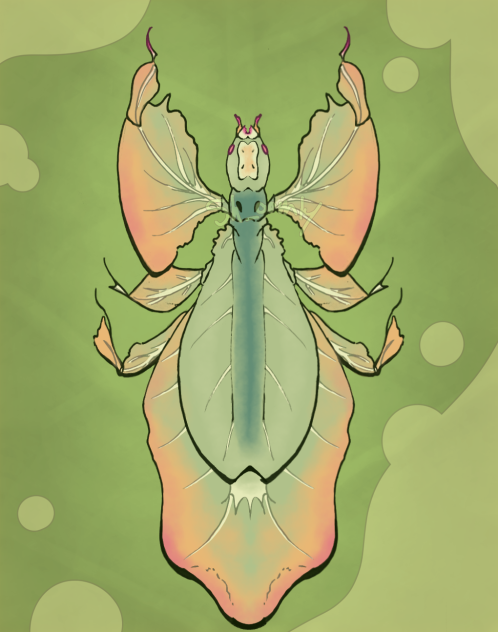 Leaf Mantis - ibisPaint