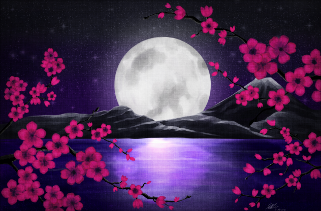 Silver Moonlight - ibisPaint