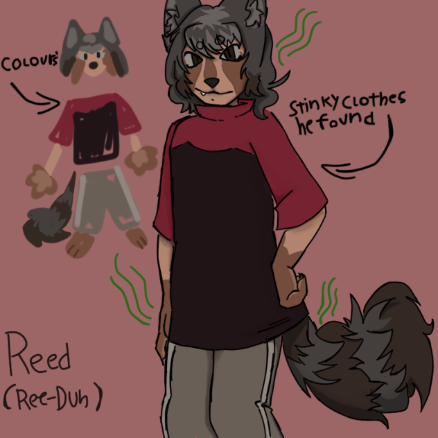REED - ibisPaint