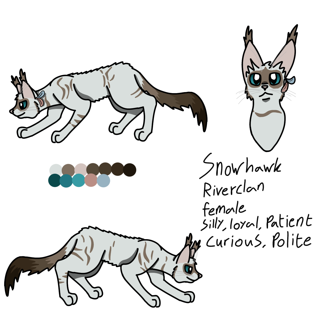 snowhawk refsheet - ibisPaint