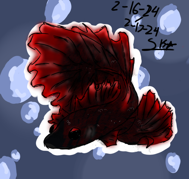 Beta fish - ibisPaint