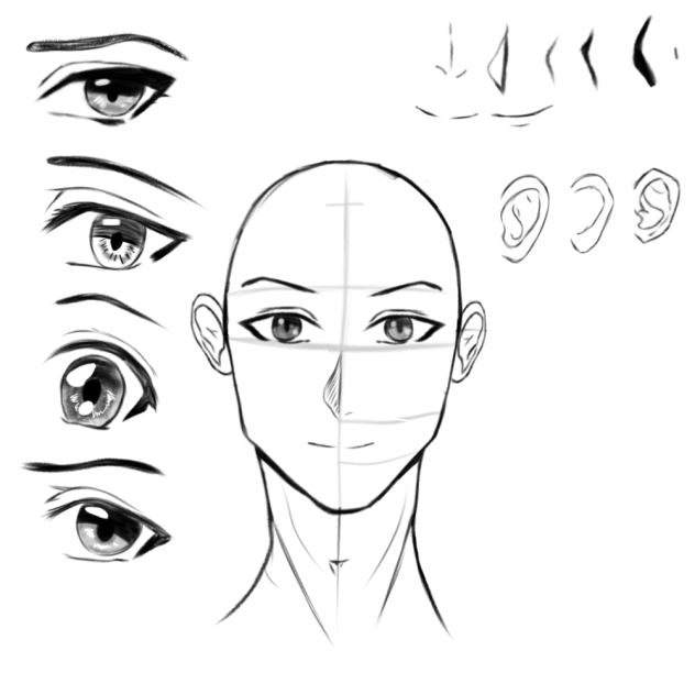 male practice - ibisPaint