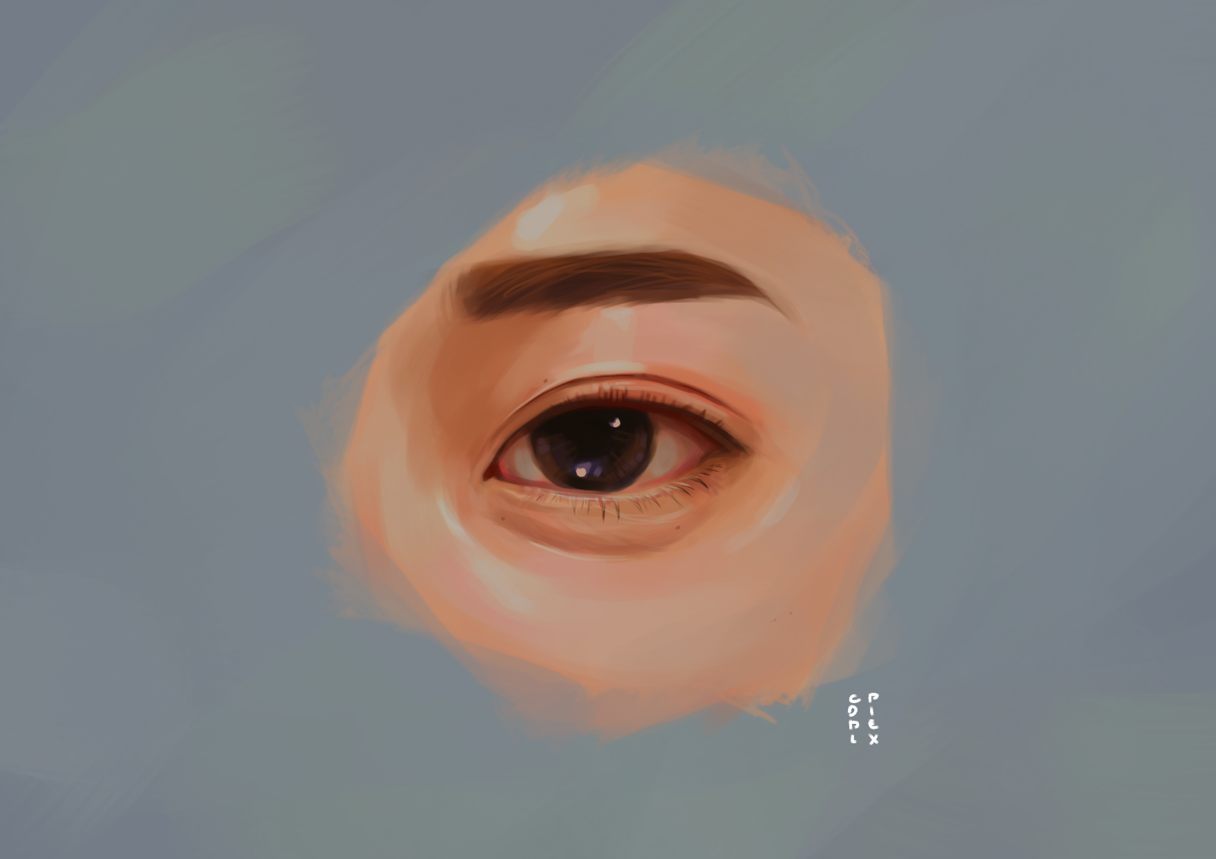 Eye study - ibisPaint
