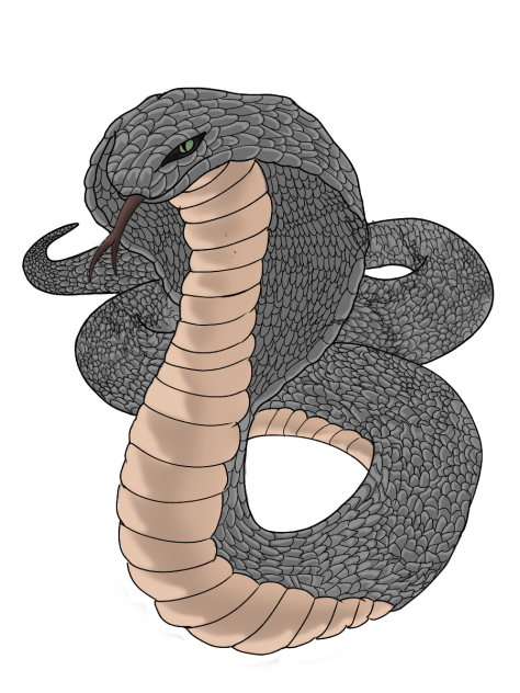 cobra - ibisPaint